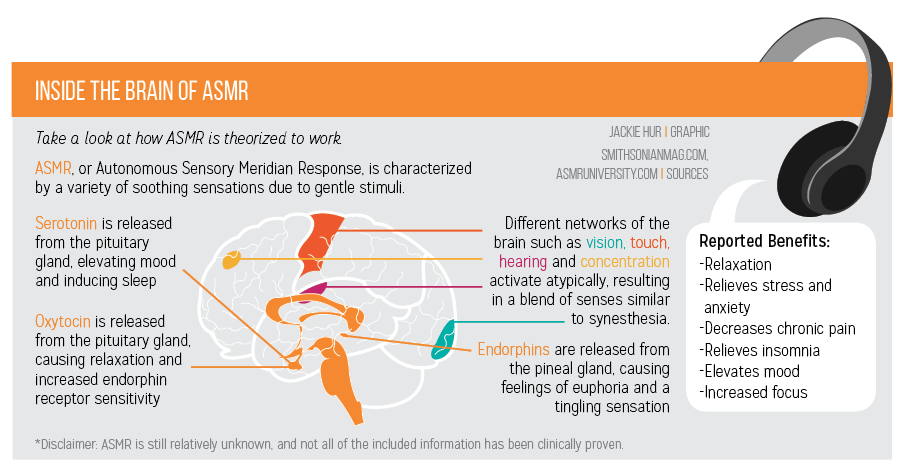 Origin Theory of ASMR | ASMR University
